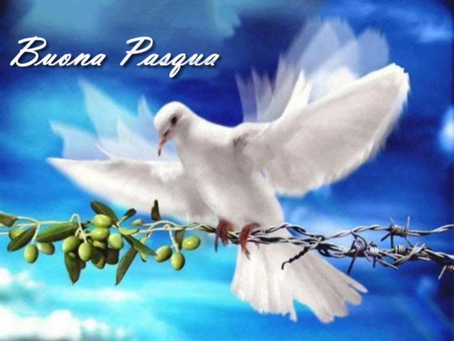 Auguri di una Bella e Santa Pasqua – Tendopoli.it Auguri di una Bella e Santa Pasqua – Tendopoli.it